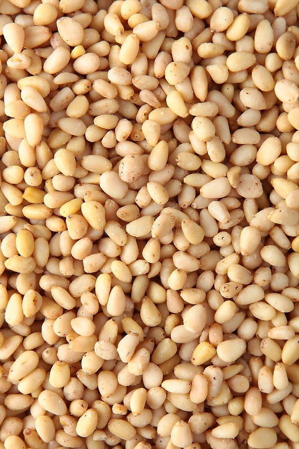 Pine Nuts, without Shells, in Large Quantities. Natural Product. the ...