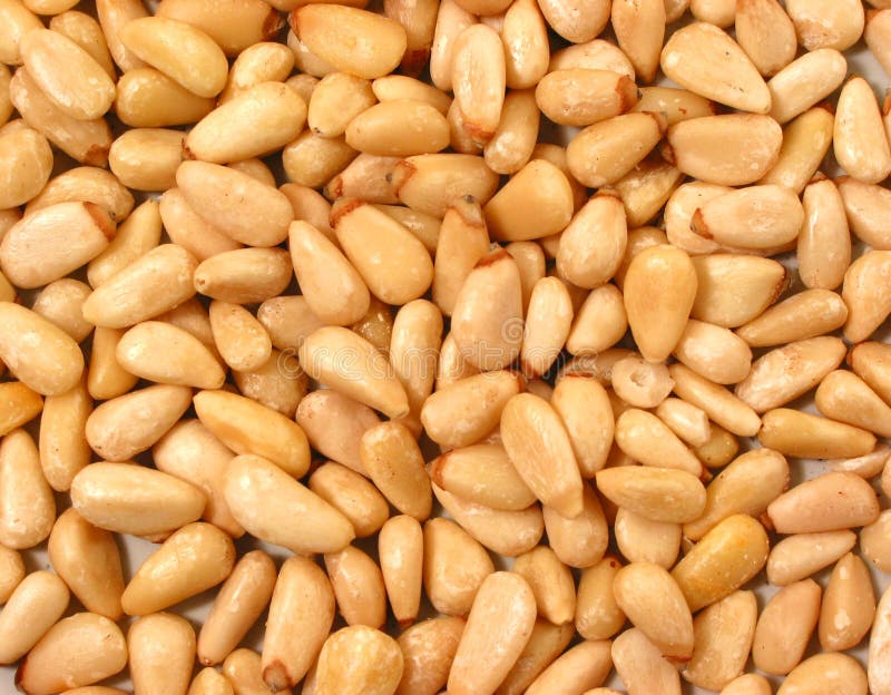 Pine nuts texture stock image. Image of food, nuts, nutrition - 458265