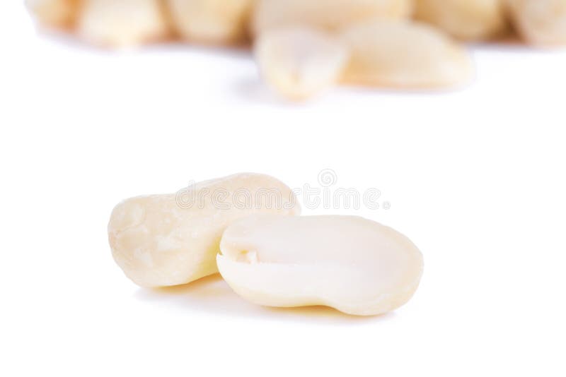 Pine Nuts Isolated on a White Background Stock Image - Image of meal ...
