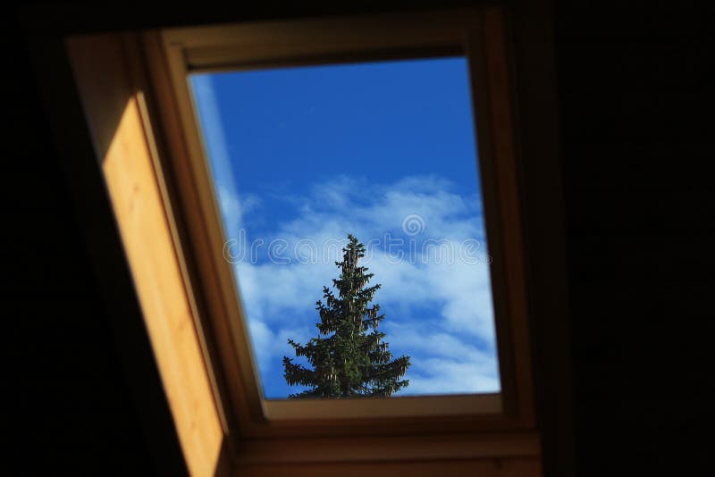 Officina23 - Photographer profile