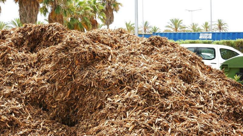 Pine Peat for Growing Plants Stock Image - Image of saver, peat: 104071937