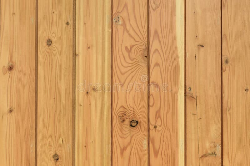 The Pine Polished Wood Wall Surface, Texture and Background Stock Image ...
