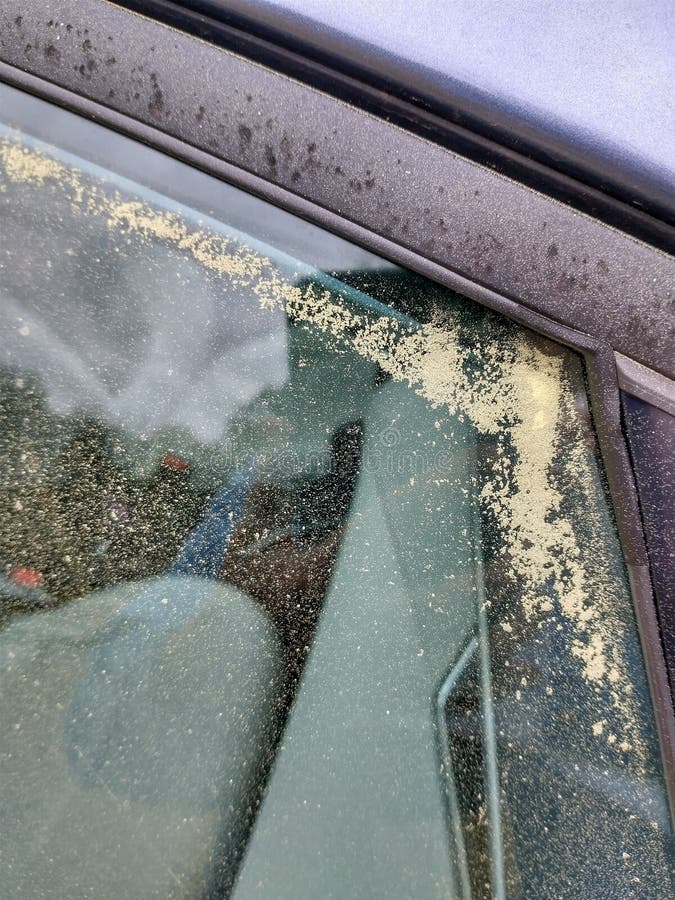 Pine Pollen on Car Window in Georgia Stock Image - Image of pollination ...