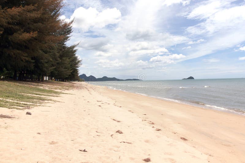 Pine Ridge in Beach and Sea Stock Photo - Image of color, vessel: 59857100