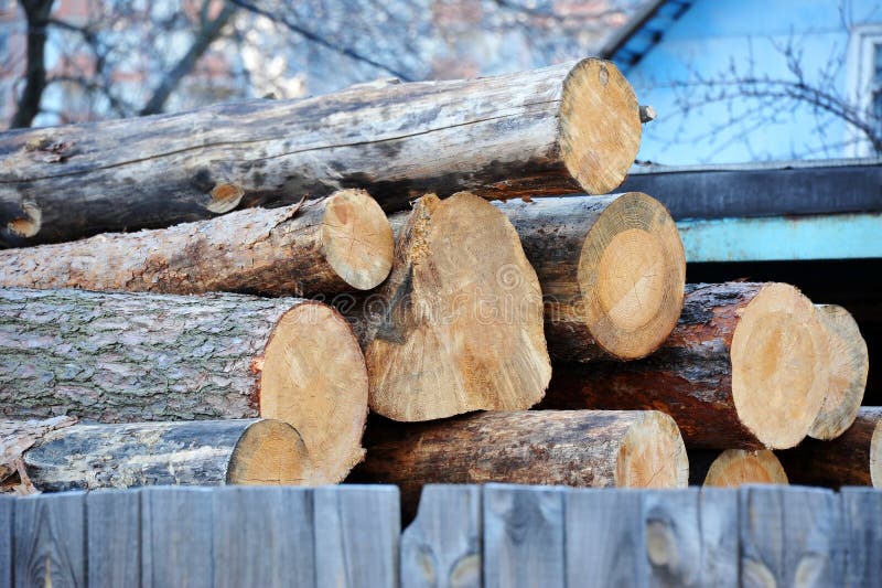 Pine round timber stock photo. Image of pine, lumber - 114501484