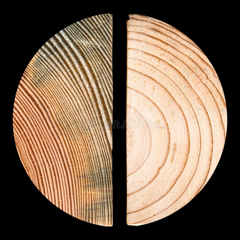Pine Round Wood, Can Be Used As Background, Wood Grain Texture Stock ...