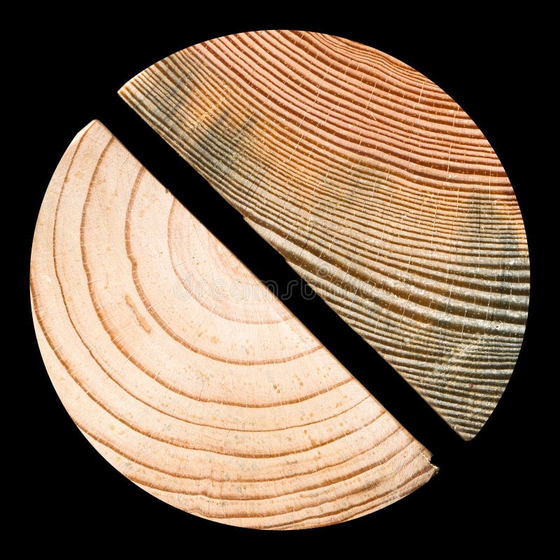 Pine Round Wood, Can Be Used As Background, Wood Grain Texture Stock ...