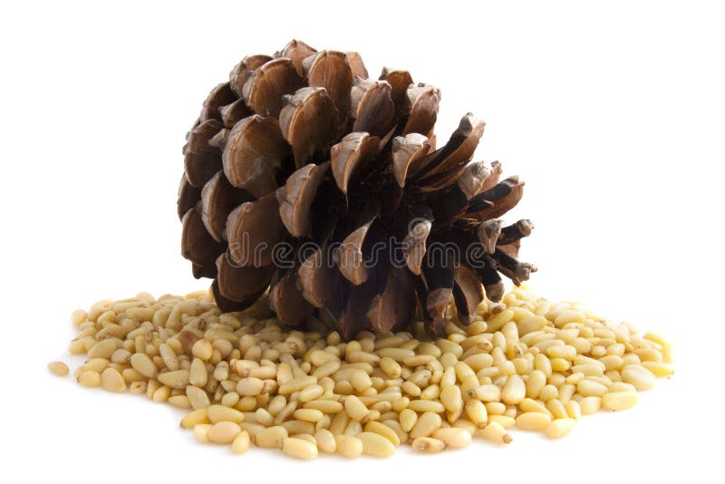 Pine seeds stock image. Image of cuisine, nutrition, pine - 49954579