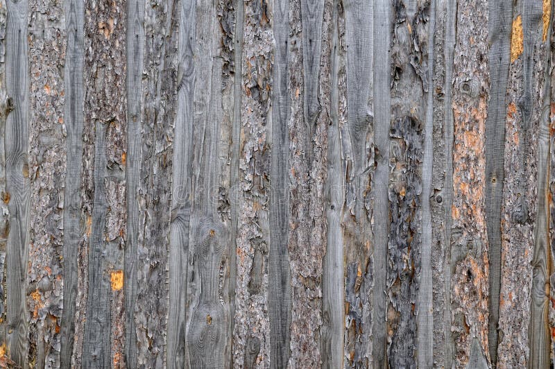 Pine slabs background stock photo. Image of pine, background - 93955228