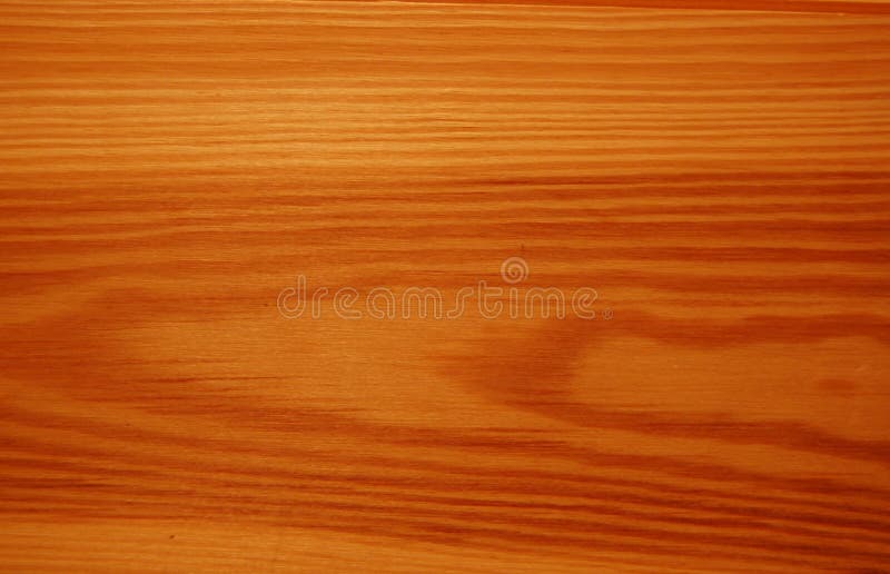 Pine structure stock image. Image of pine, structure, pinus - 9637161