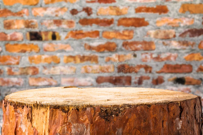 Pine Stump Background Brick Wall Stock Photo - Image of barrier ...