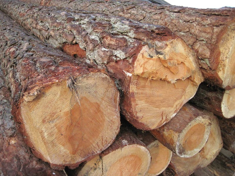 Timber stock image. Image of hardwood, hard, design, floor - 15606895