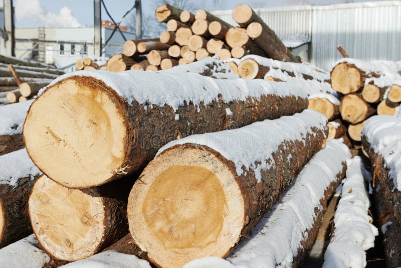 Pine timber background stock image. Image of deck, lumbering - 32353439