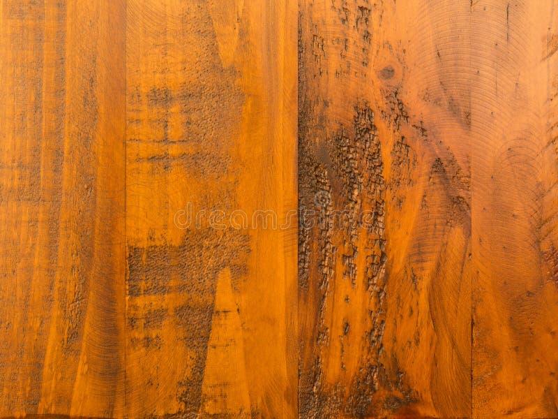 Pine Timber Pattern / Background. Stock Photo - Image of pattern ...