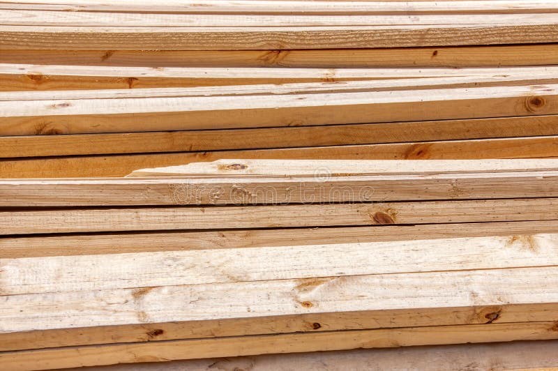 Pine timber stock image. Image of empty, carpentry, economy - 193751323