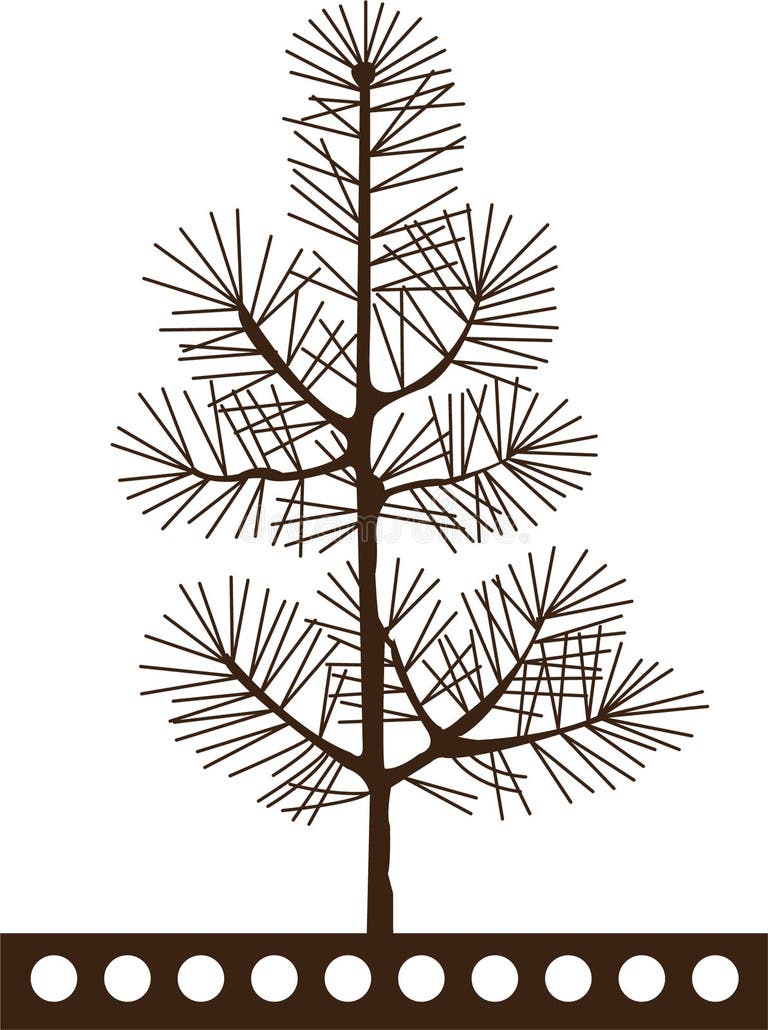 Cypress Pine Tree Stock Illustrations – 4,350 Cypress Pine Tree Stock ...