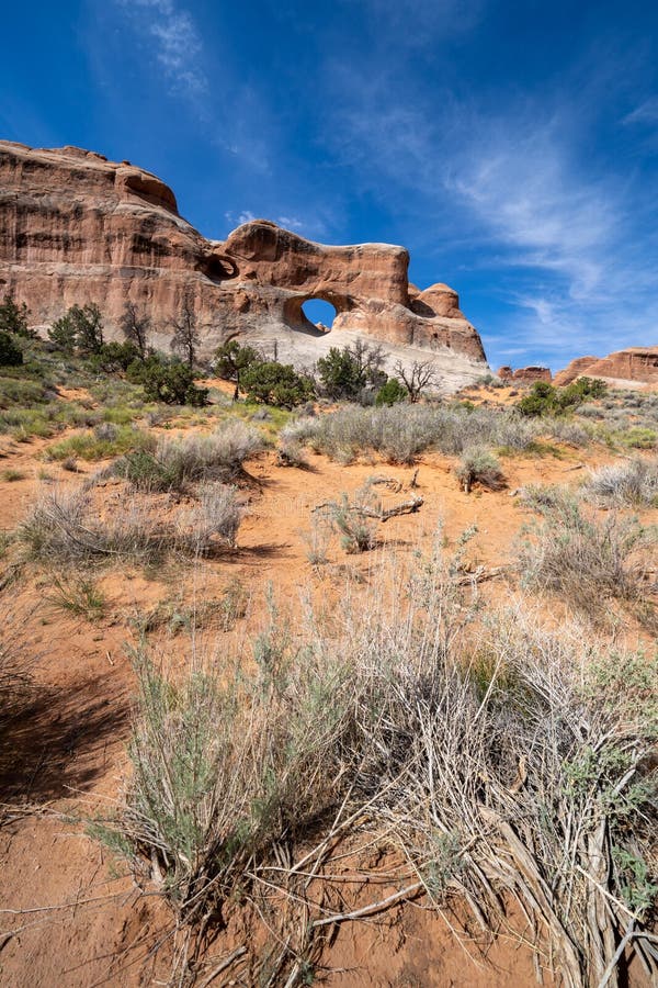 The Devils Garden Trail, in Arches National Park Utah Stock Photo ...