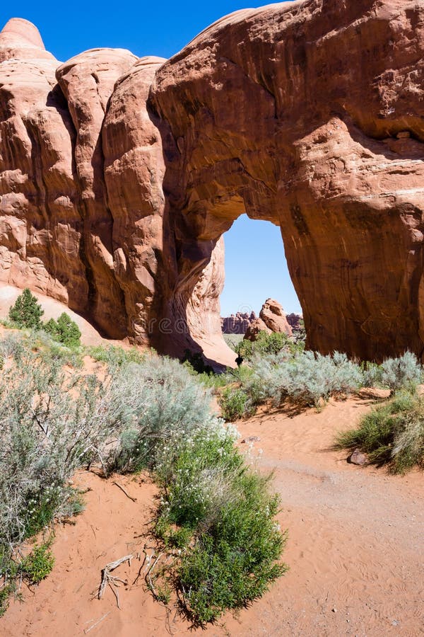 Pine Tree Arch in Arches National Park Stock Image - Image of rocky ...