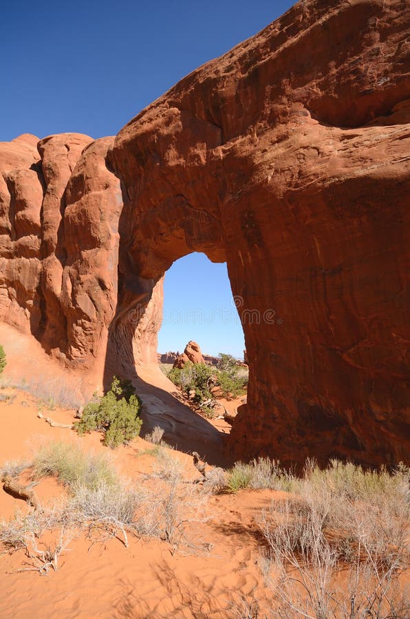 Pine Tree Arch in Arches National Park Stock Photo - Image of beauty ...