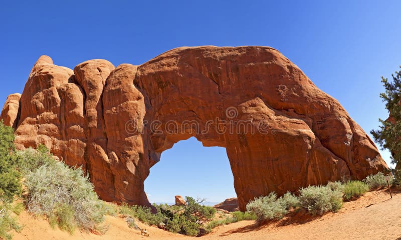 Pine Tree Arch Arches National Park Stock Image - Image of locations ...