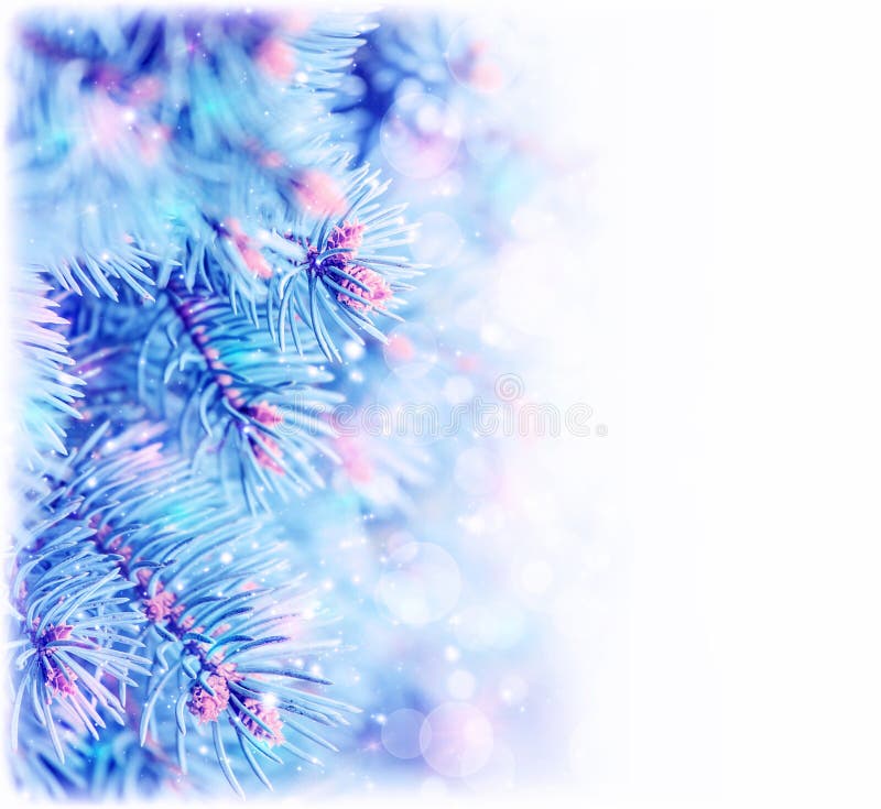 Pine tree border stock image. Image of christmas, background - 28194341
