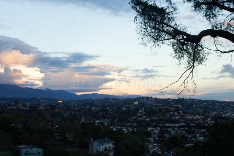Pine Tree Branches and Foliage with Distant Hillside Homes and Sunset ...