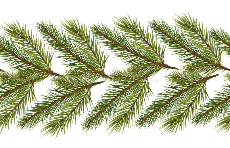 Pine Tree Branches Repeating on Seamless Border Isolated on White ...