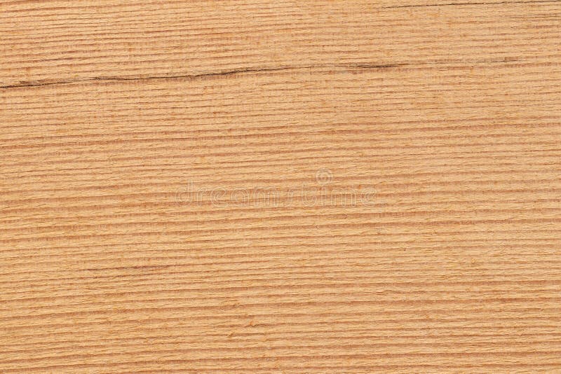 Pine tree cut texture. stock photo. Image of plank, forest - 225757286