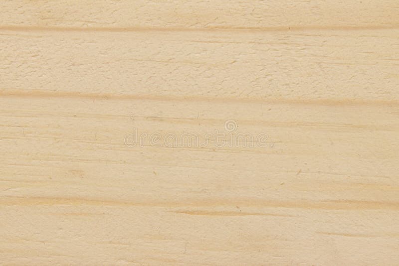 Pine tree cut texture. stock photo. Image of lumber - 225757216