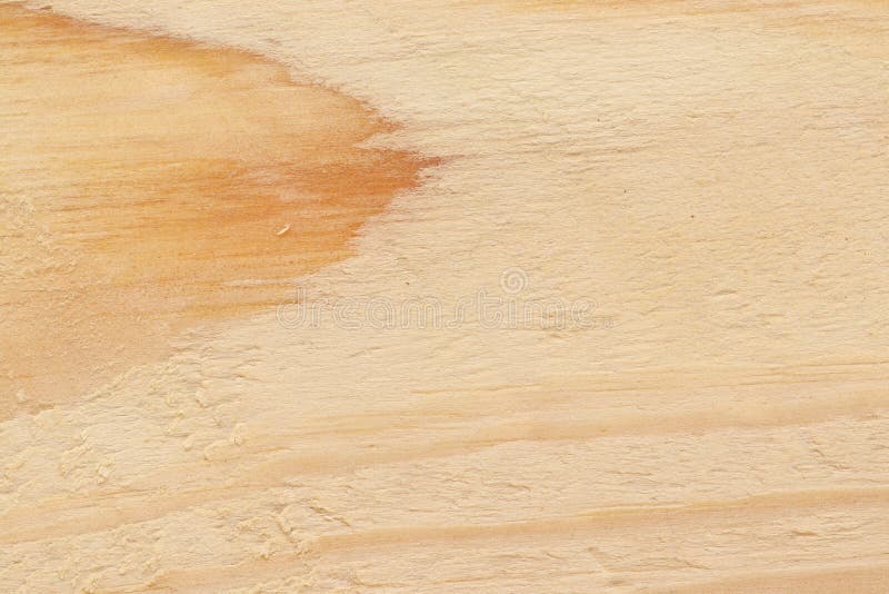 Pine tree cut texture. stock image. Image of spiral - 225757383