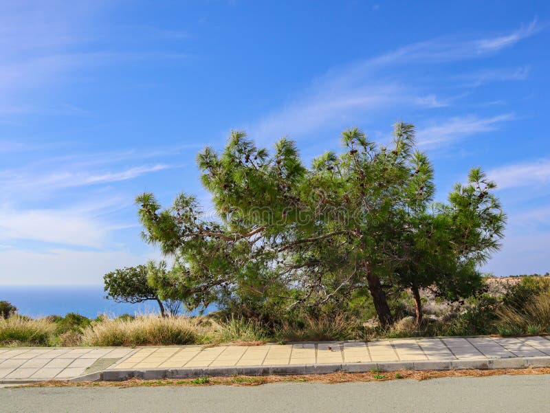 Cyprus Mountain View stock image. Image of mediterranean - 28979259
