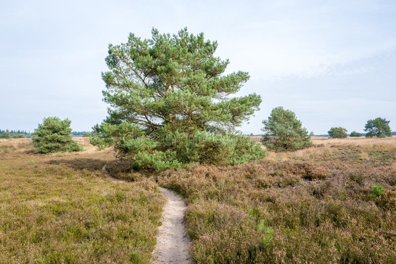 Elspeter Heide Stock Photos - Free & Royalty-Free Stock Photos from ...