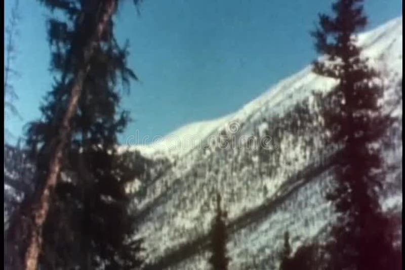 The Tree in Falling Rain Outside the House Stock Video - Video of ...