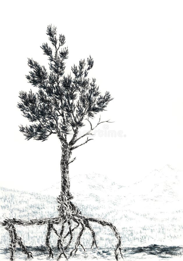 Pine Tree with Fantasy Roots Stock Illustration - Illustration of ...
