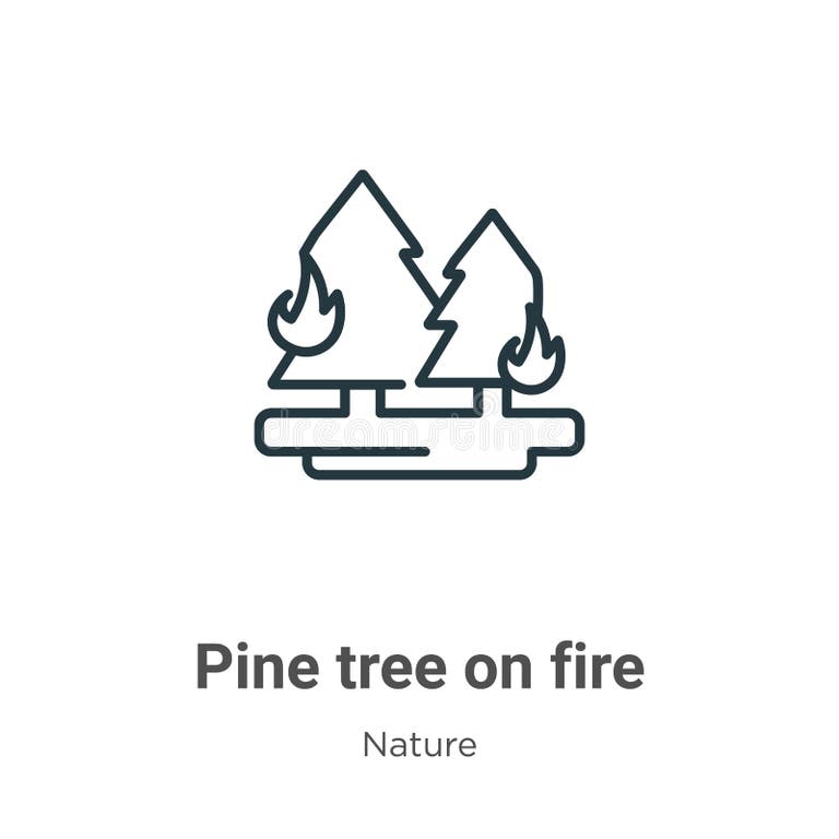 Pine Tree on Fire Outline Vector Icon. Thin Line Black Pine Tree on ...