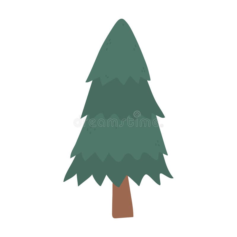 Pine tree icon stock vector. Illustration of icon, leaf - 242949904