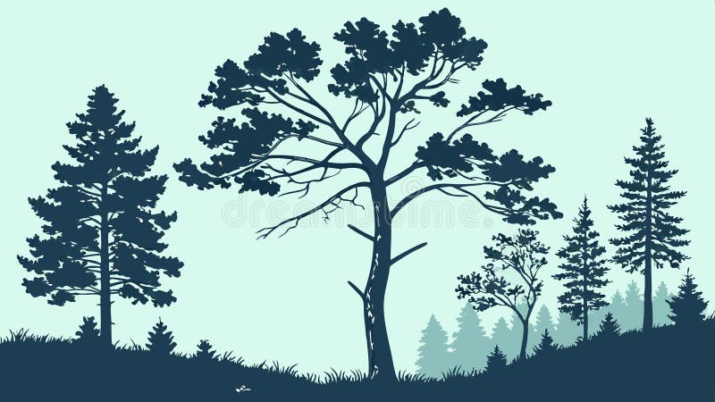 Cartoon Classic Forest Woods Stock Illustrations – 241 Cartoon Classic ...