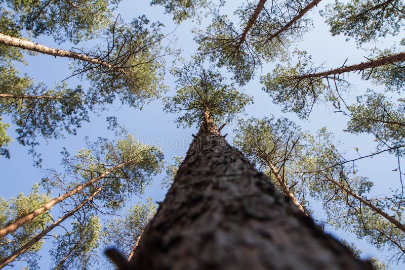 190 Some One Seen Out Stock Photos - Free & Royalty-Free Stock Photos ...