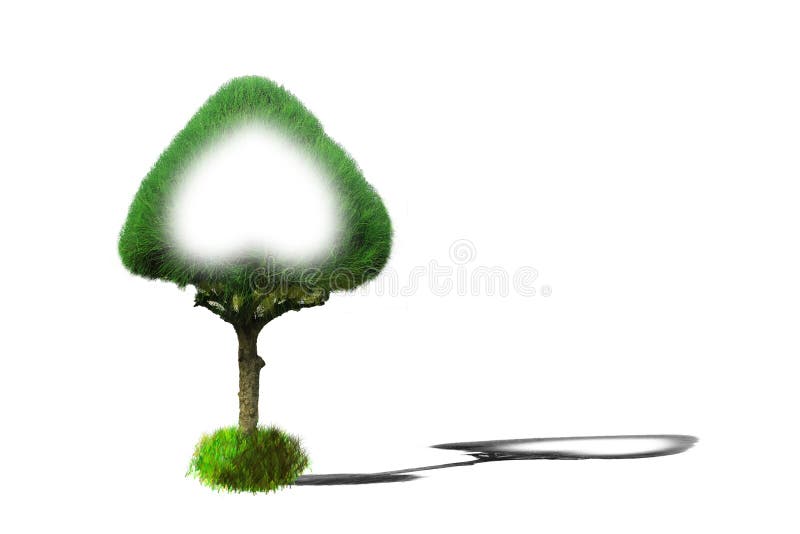 Pine Tree Green Heart Ornamental Plants Stock Photo - Image of forest ...