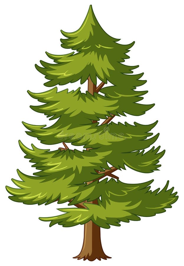 Clipart Pine Tree