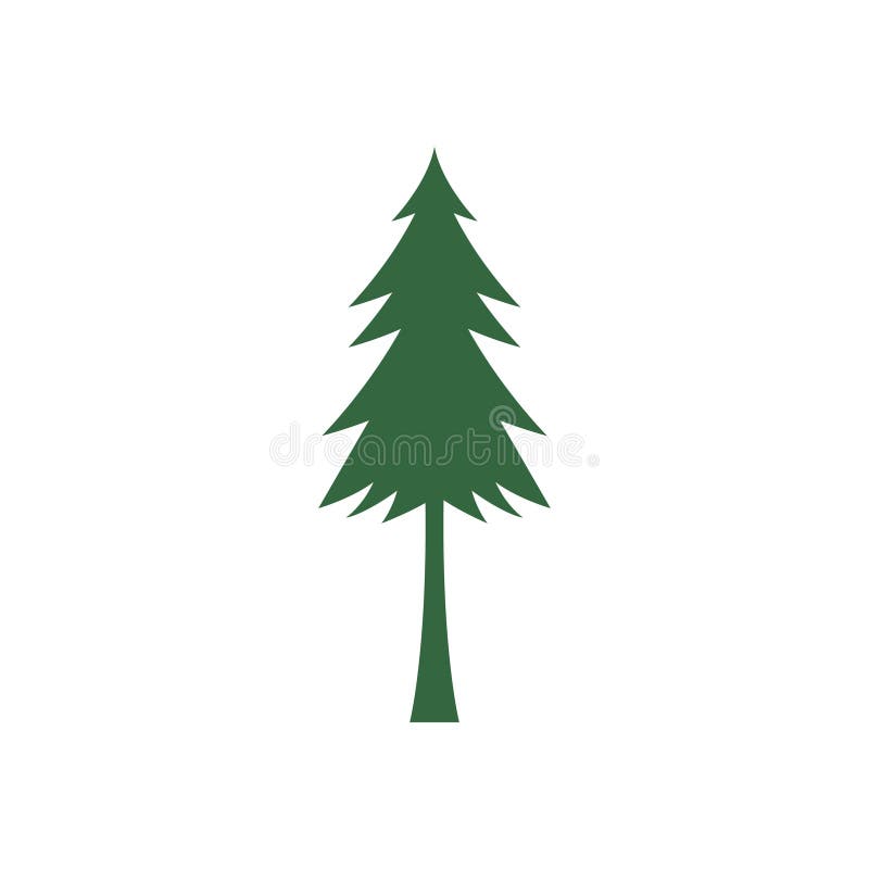 Pine tree icon stock vector. Illustration of conifer - 300030849