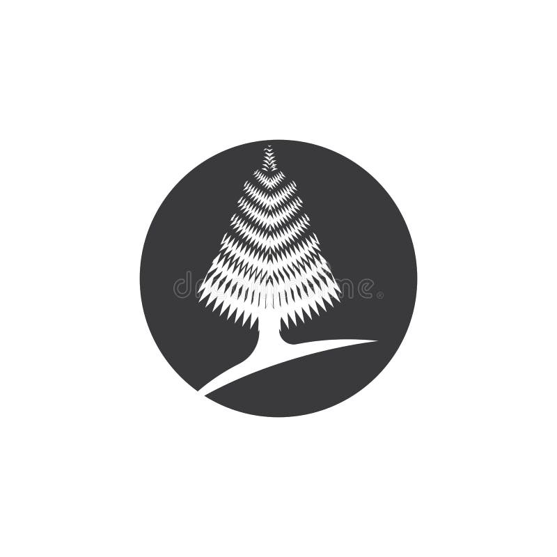 Pine tree icon stock vector. Illustration of forest - 164893163