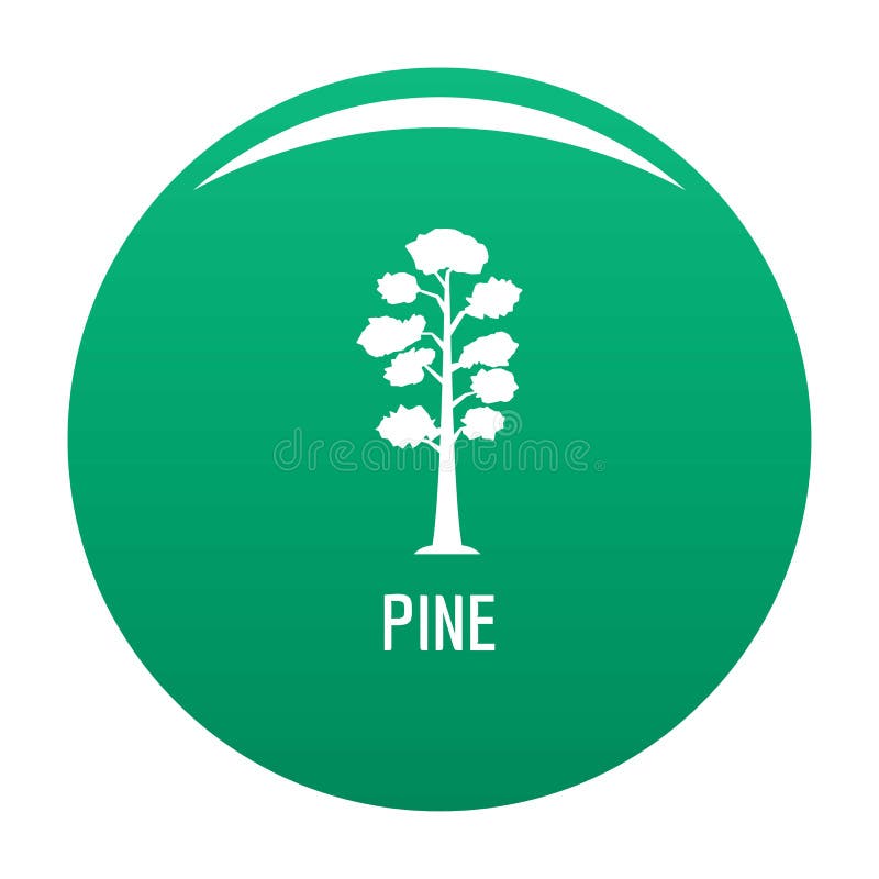 Pine Tree Icon Vector Green Stock Vector - Illustration of branch ...