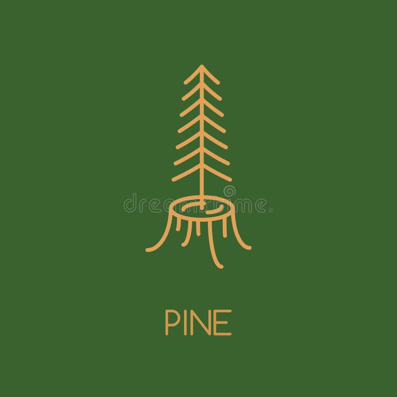 Pine Tree Symbol Landscape Architecture