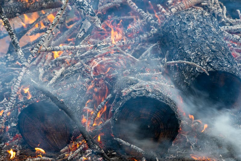 Pine Tree Logs in a Smokey Fire Stock Image - Image of ember, firewood ...
