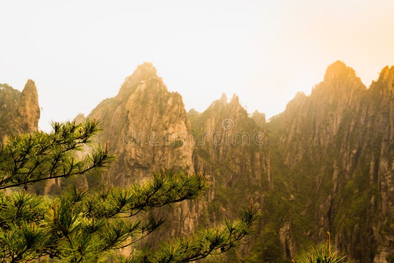 The Pine Tree with Mountains on Sunset of Huangshan, Anhui, China Stock ...
