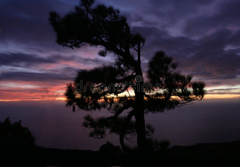 Sunset Lake Michigan stock photo. Image of blues, trees - 72085080