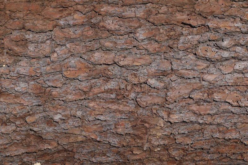 Legado Visual (Legadovisual) - Photographer profile