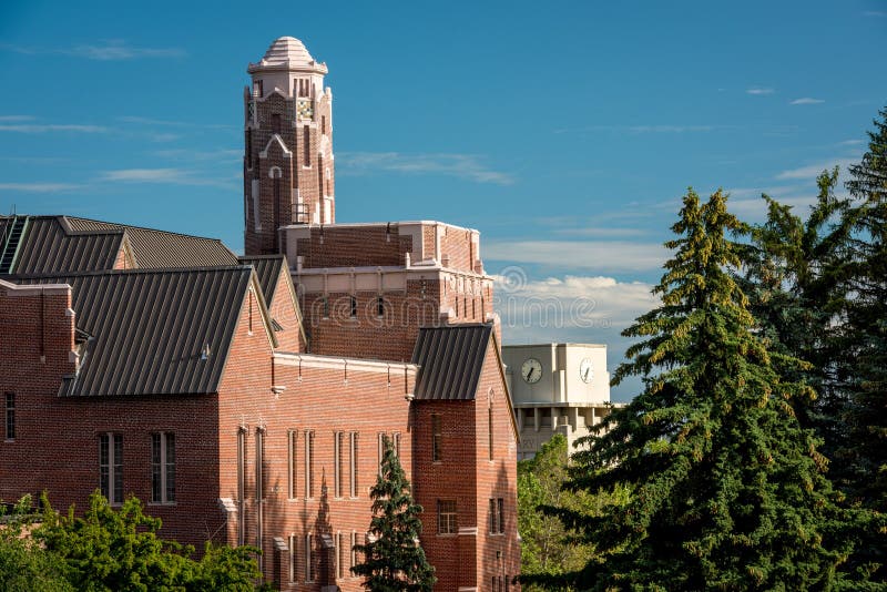 Pine Tree and Red Brick Buildings on a Campus Stock Photo - Image of ...