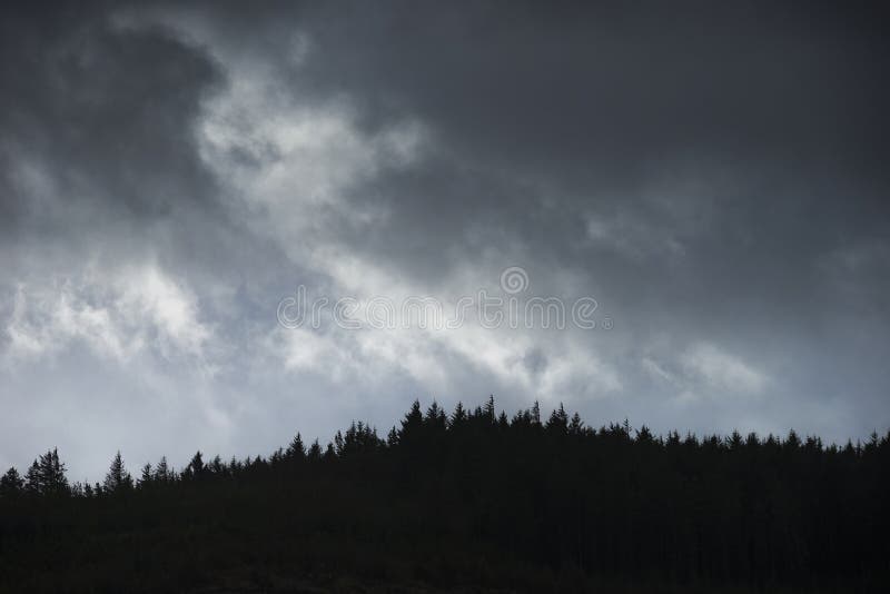 Pine Tree Ridge Landscape Image Against Dramatic Stormy Winter Sky in ...